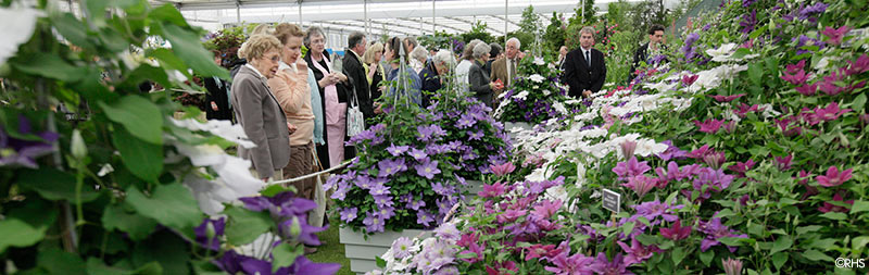 Everything you need to know about Chelsea Flower Show