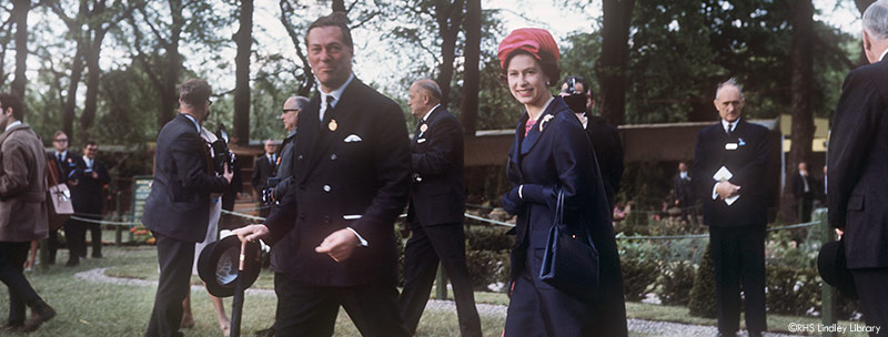 queen-chelsea-lindley